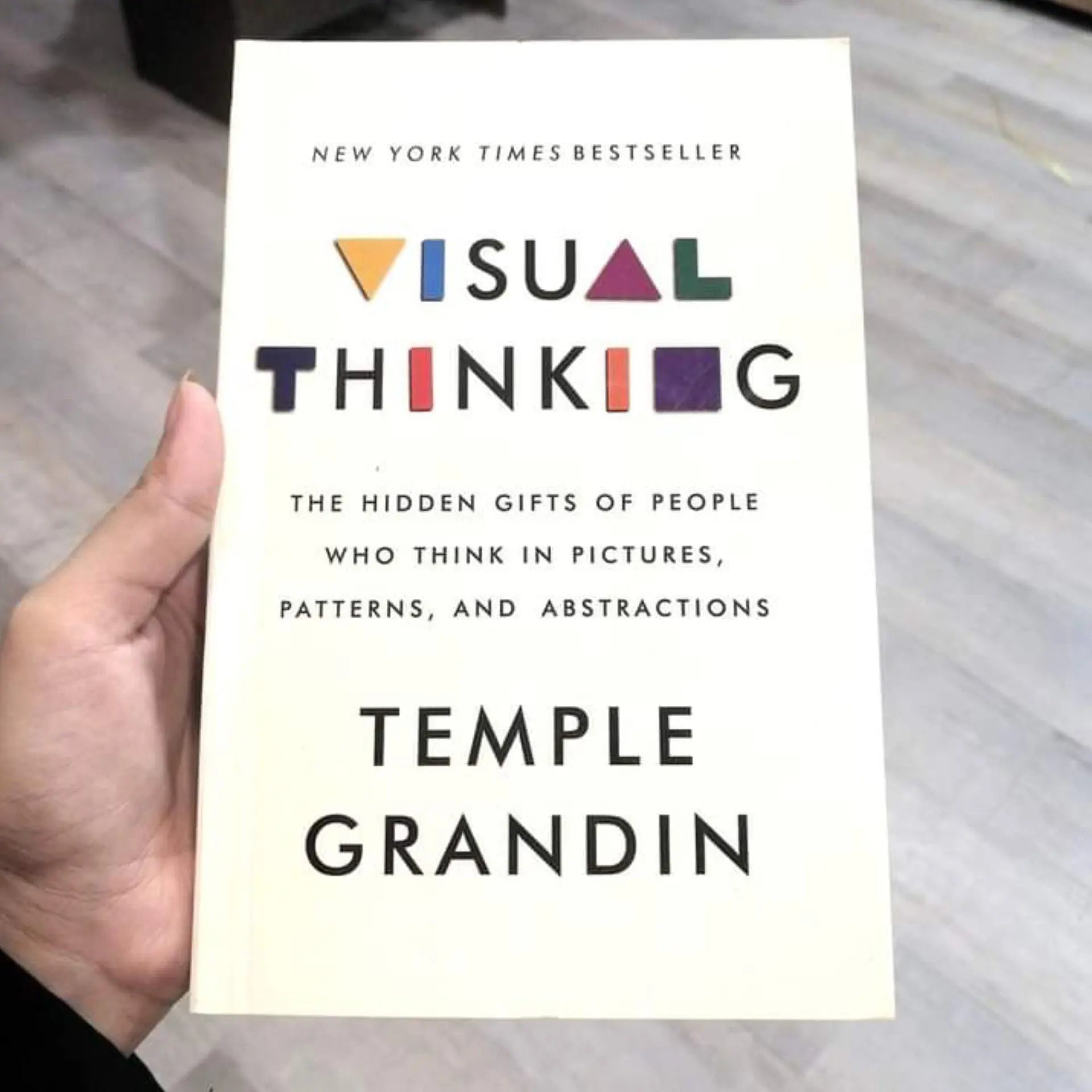 Visual Thinking: The Hidden Gifts of People Who Think in Pictures ...