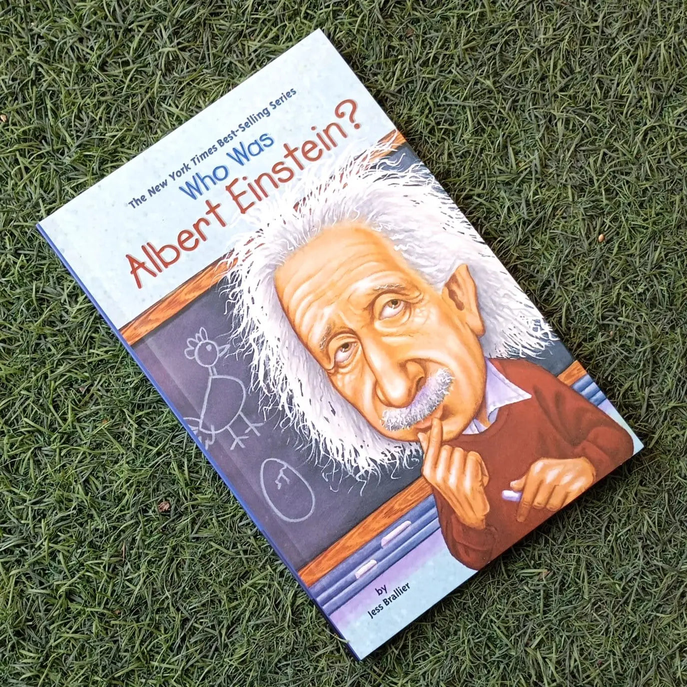 WHO WAS ALBERT EINSTEIN? - EnglishBookHouse